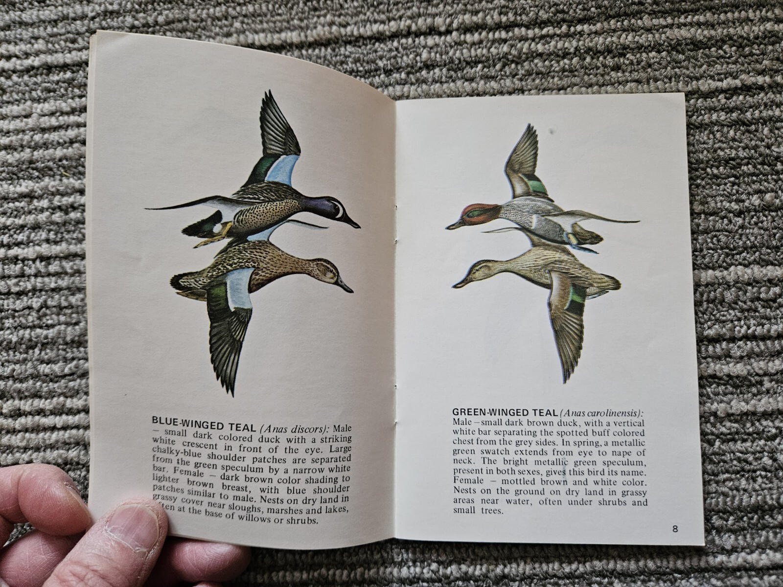 Ducks Unlimited's Wing Watchers Guide: Waterfoul Identification Guide ...
