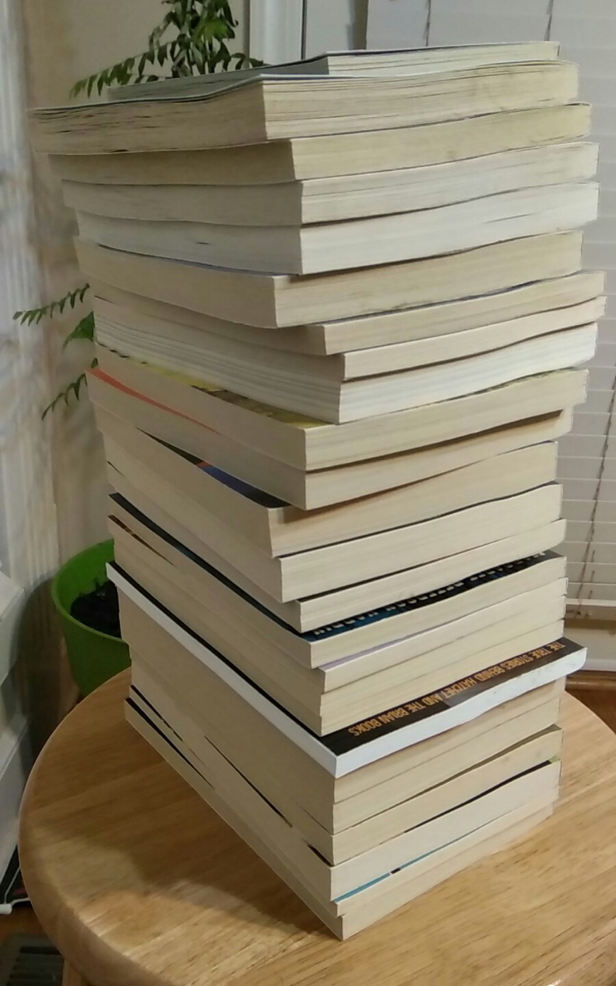 Scholastic Chapter Books Mixed Assortment Paperback Lot kids - QTY 26 ...