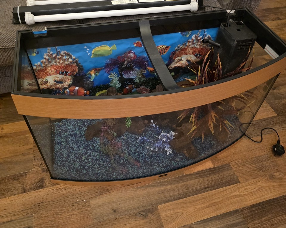 Jewel Vision 180 LED Aquarium Curved Fish Tank with LED Lighting ...