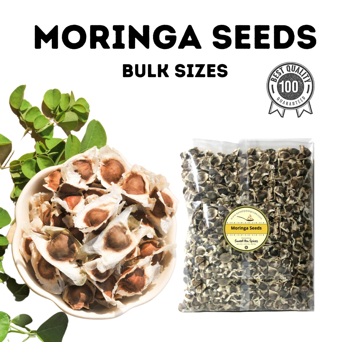 Moringa Seeds Benefits