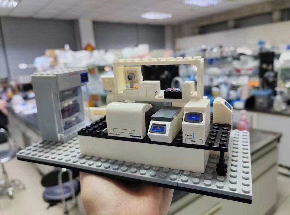 Thermo Fisher Scientific Gift-Life Science Lab Set Building Bricks (NOT ...