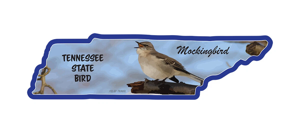 Tennessee State Bird