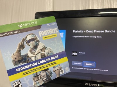 Fortnite Deep Freeze Bundle Outfit Back Bling Pickaxe Glider V-Bucks ...