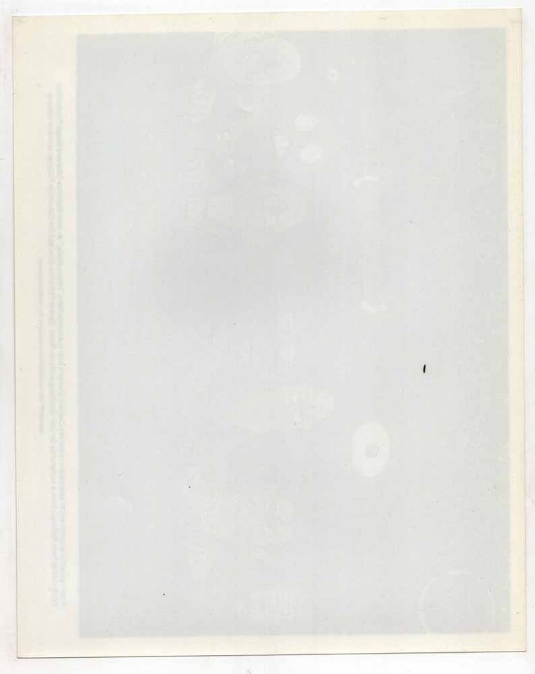 o31810 1981 orig photo animated characters rock n roll sci-fi cartoon ...