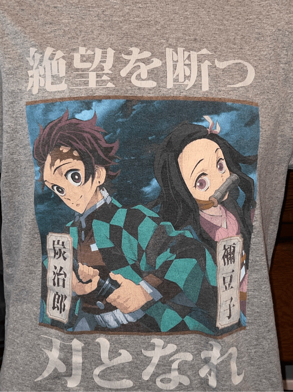 Demon Slayer Anime KnY Tanjiro and Nezuko Gray T-Shir… - Gem