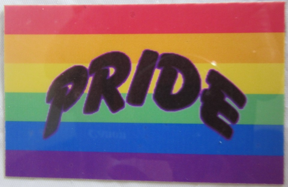 LGBT Pride Rainbow Flag Magnet 1.75" x 3" fridge magnet, Curve PRIDE | eBay