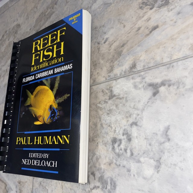 Reef Fish Identification Florida Caribbean Bahamas by Paul Humann (1994 ...