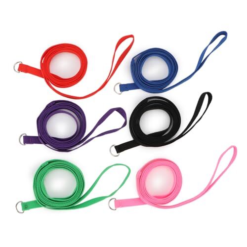 6 Pcs Bulk Pack Slip Leads Dog Pet Grooming Kennel Small Animal Control ...