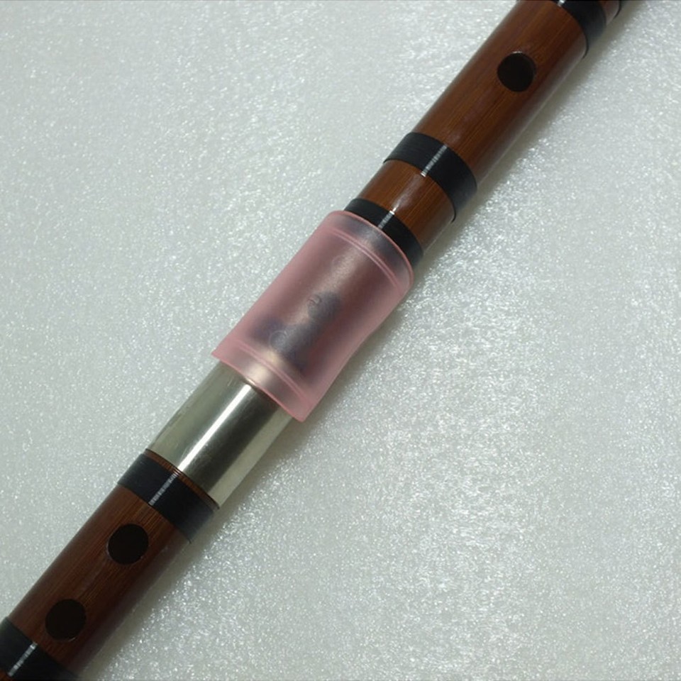 25 Pcs Recorder Flute Case Accessories Open Hole Pad Mouthpiece Cover ...