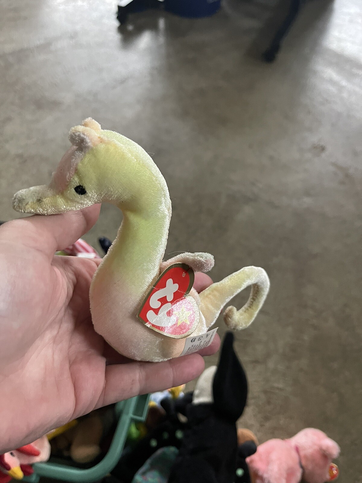 Ty Beanie Baby Neon The Seahorse 1999 Tag Errors | eBay