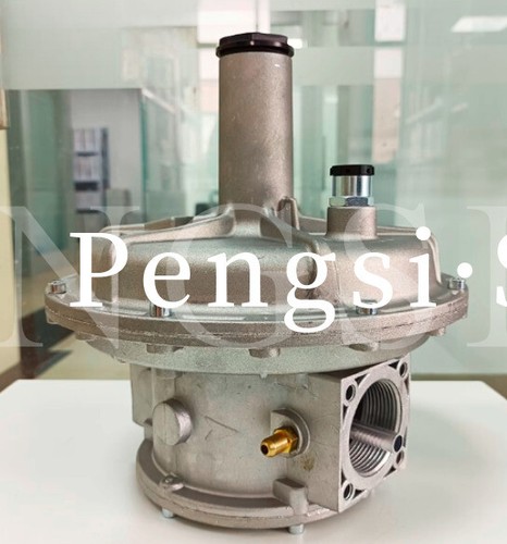 QTY:1 Gas Pressure Reducing and Regulating Valve RG/2MC DN25（1bar） #E10 ...