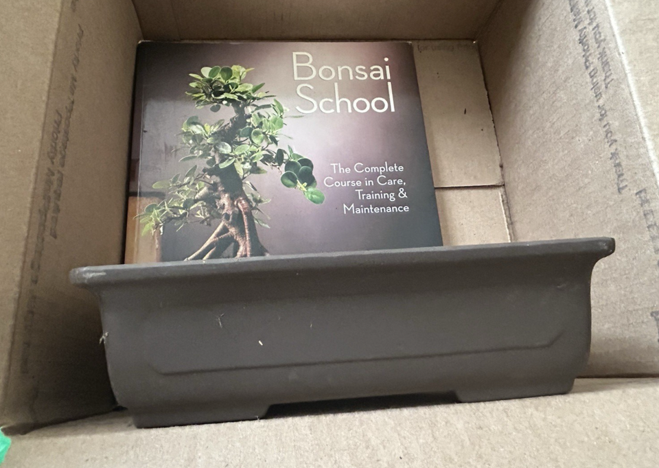 Brown Clay Japanese Bonsai - Orchid Ceramic Pot & Book | eBay