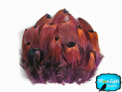 1 Pack - PURPLE Ringneck Pheasant Plumage Loose Feathers 0.07 oz | eBay