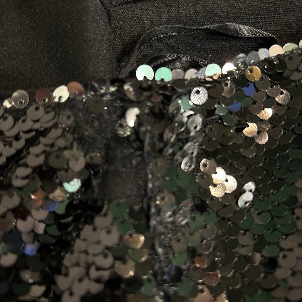 SHE + SKY Sequined And Lined Mini Skirt Women’s Size Small Deep Purple ...