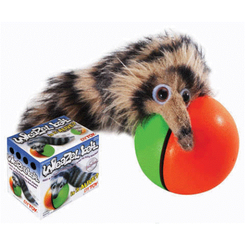 Weazel Ball - Is It Alive? - Watch As It Chases The Ball! - Battery ...