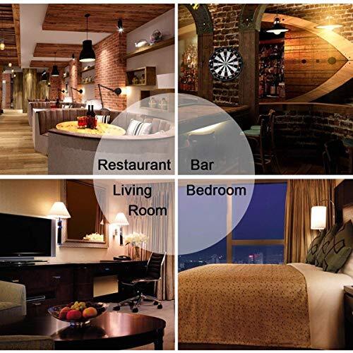 Vintage Led Filament Bulb T300 6w Dimmable T10 Edison Light Bulb Long ...