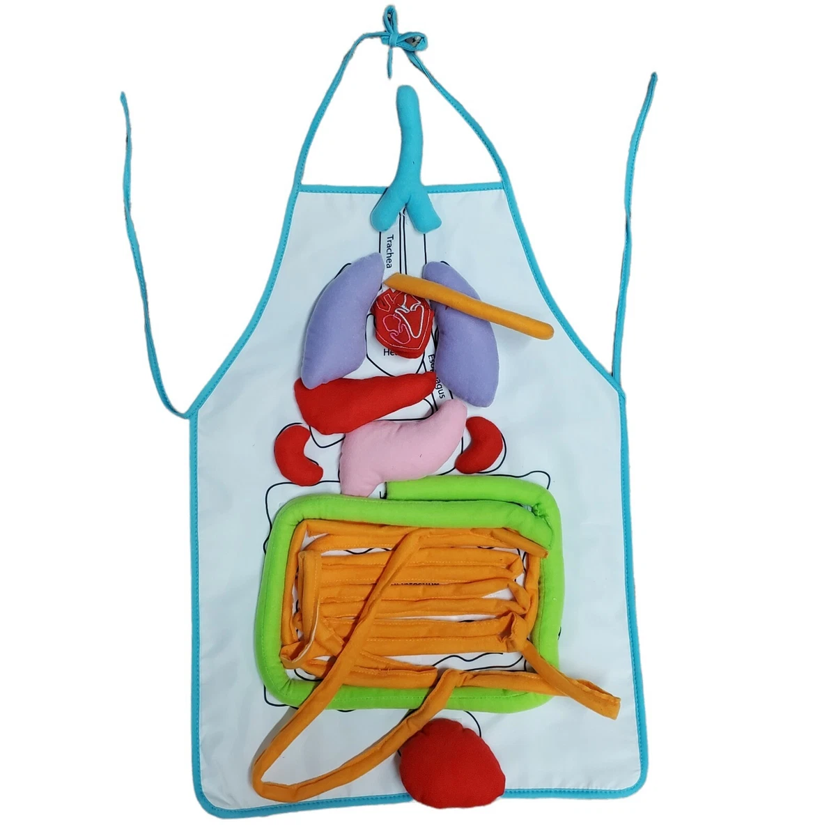 Cartoon Science Apron