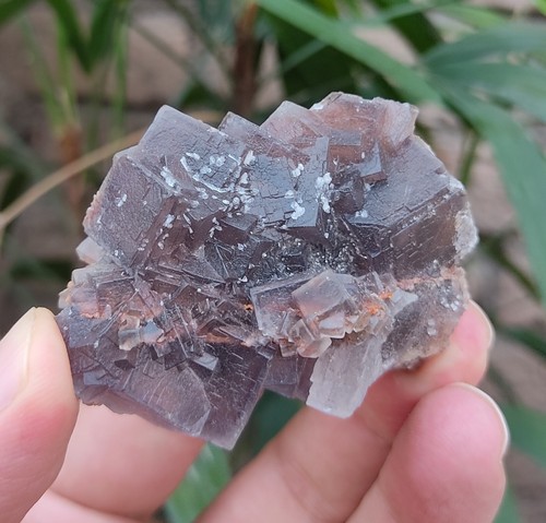 Natural Cubic Fluorite Specimen. Perfect for Crystal Healing and Decor ...