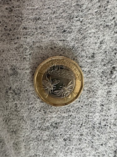 King Charles III £1 Bee Coin Collectible item , Circulated, very Rare ...