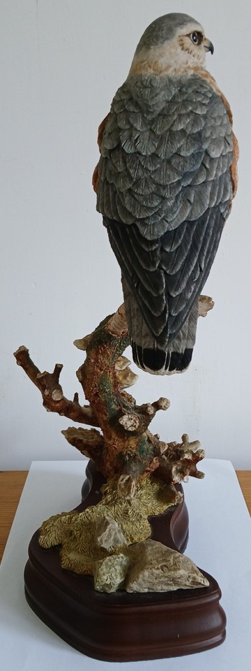 Sherratt and Simpson - Bird - Falcon | eBay UK