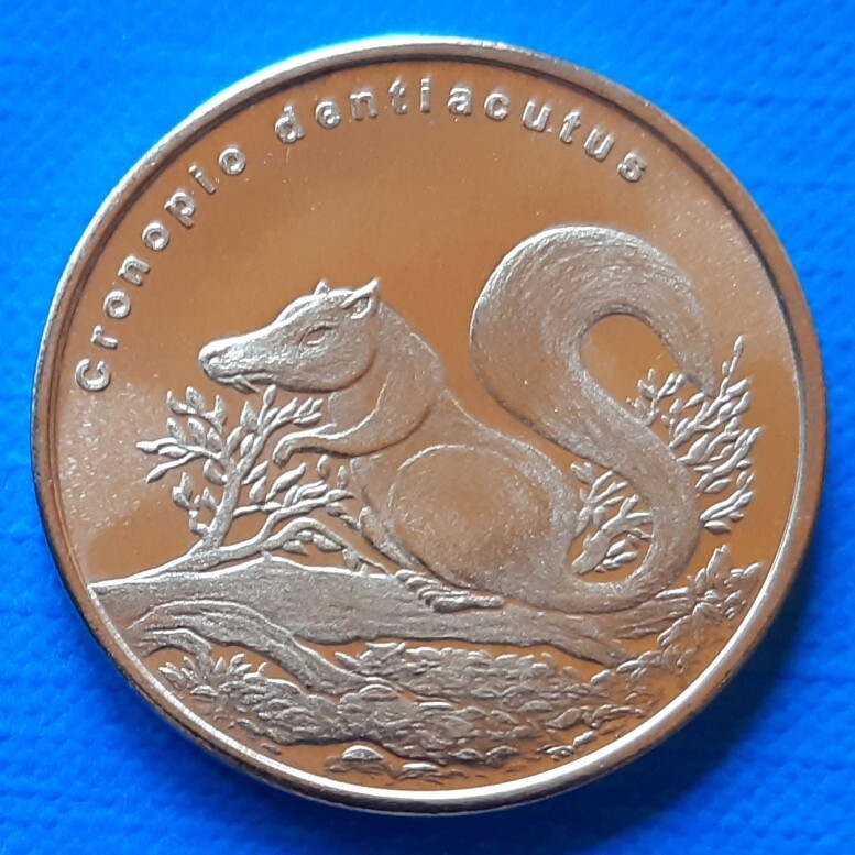 Real Saber Tooth Squirrel Saber Toothed Squirrel Wooden Magnet Laser