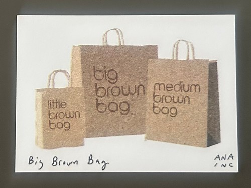 Anastasia Inciardi Mini Print Bloomingdale’s Exclusive "Big Brown Bag ...