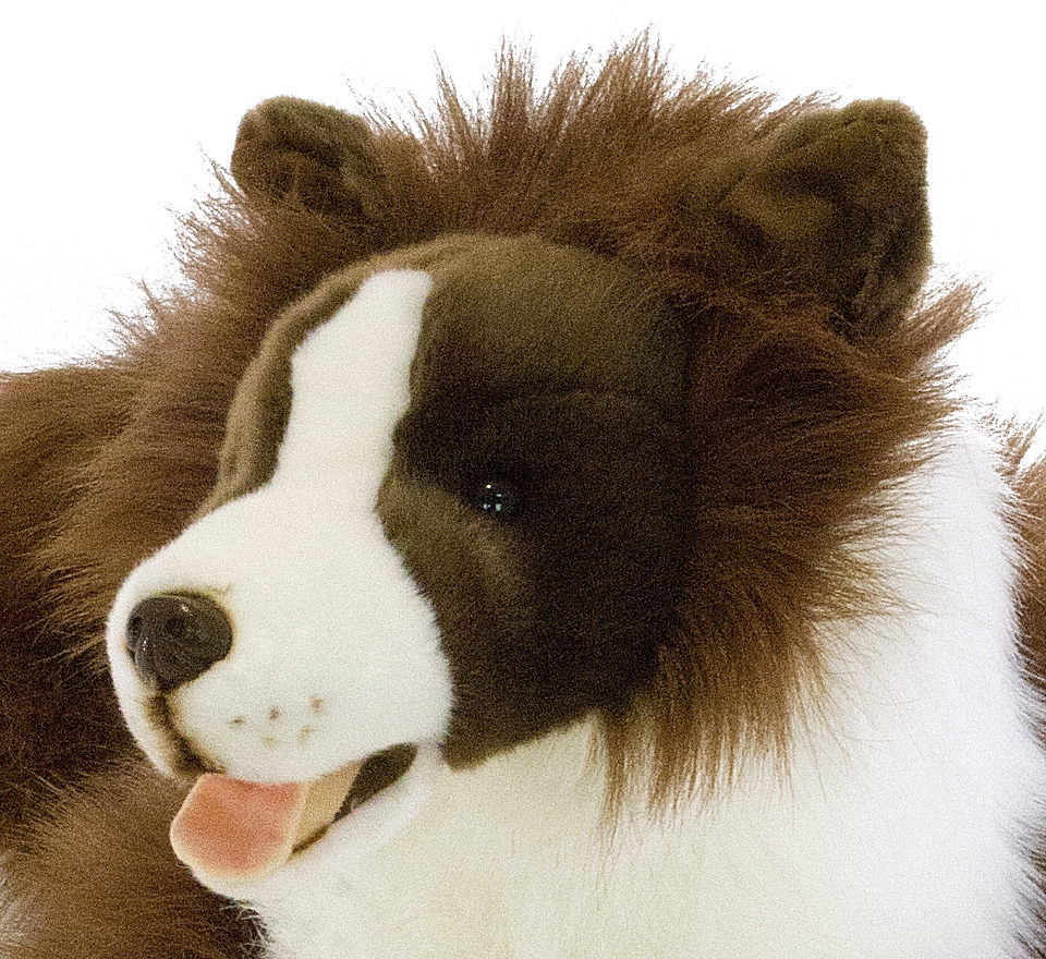 ~ ️~BOCCHETTA Border Collie FUDGE 62cm 24" Extra Large Brown plush soft ...