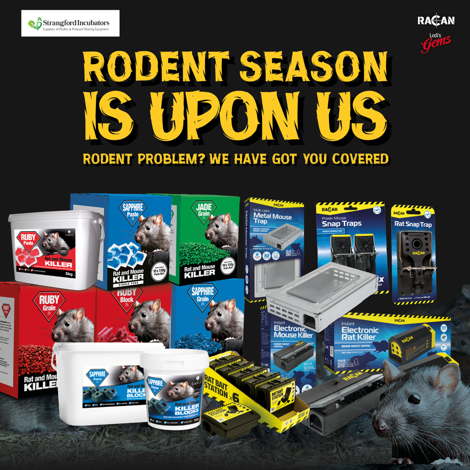 BASF Storm Secure Block Bait 3kg Tub Rat & Mouse Single Feed ...