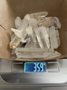 Bulldog Rocks | eBay Stores