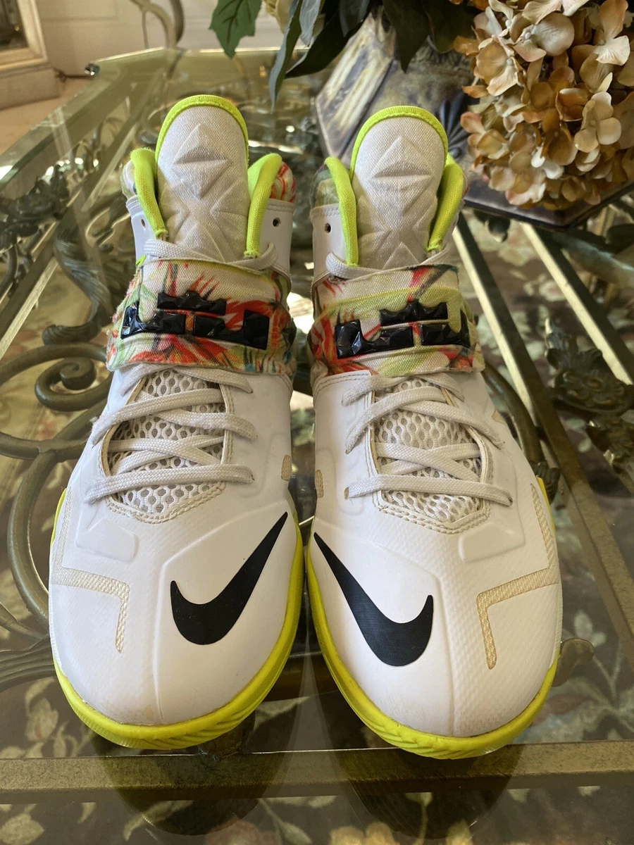 Lebron Kings Pride Soldiers