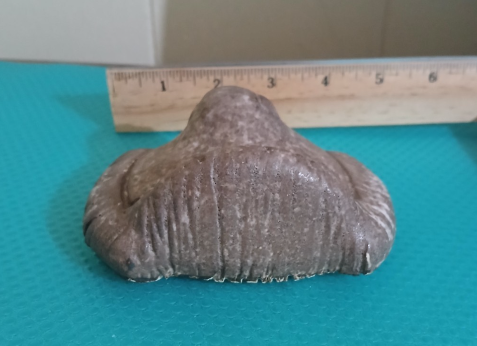 McCarty’s Pottery Nutmeg BABY SPARROW BIRD FLYING WINGS SPREAD OUT 1ST ...