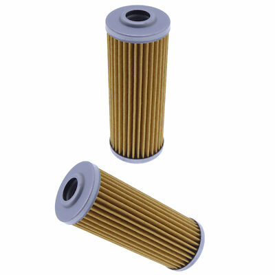 2X Fuel Filter for Yanmar 119810-55650 16271-43560 11981055650 Kohler ...