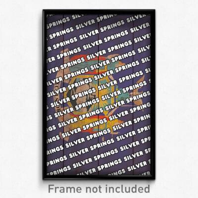 Silver Springs New York Poster (NY City Souvenir 11x17 Town Print) | eBay