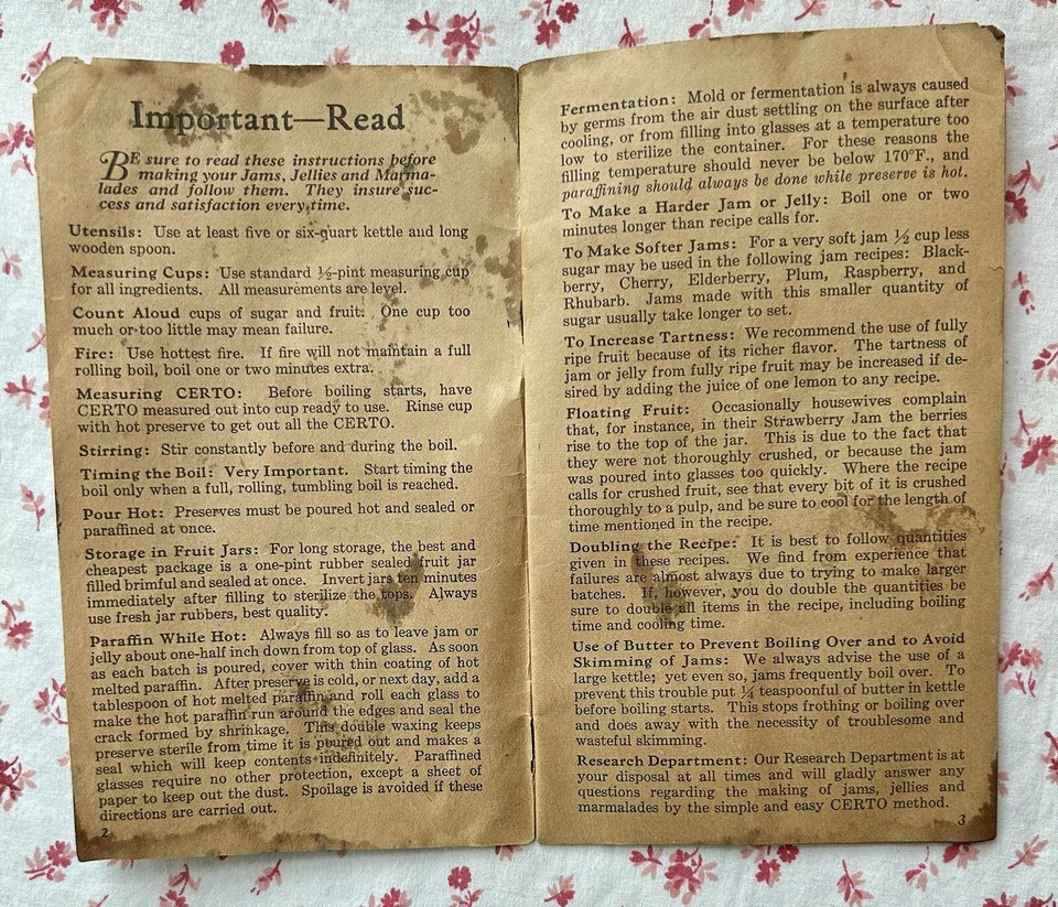Vintage 1920s Certo Jam Recipe Booklet Douglas-Pectin Corporation ...