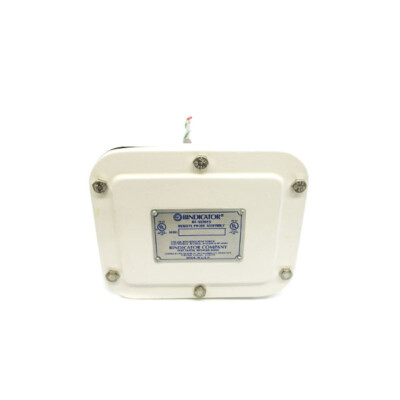 BINDICATOR RF10PA0G1 NSNP | eBay
