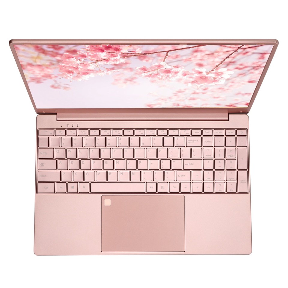 15.6in Laptop For N5095 CPU Pink Mini Laptop For Window11 With Fingerp ...