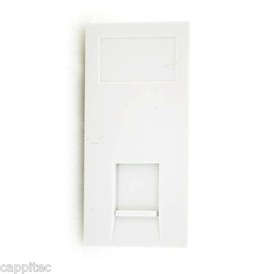 RJ11 FAX TELEPHONE ADSL MODEM SOCKET FACEPLATE EURO MODULE BY KAUDEN ...