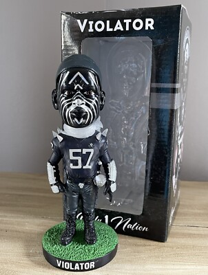 The Black Hole VIOLATER Los Angeles Oakland Raiders NFL Super Fan ...