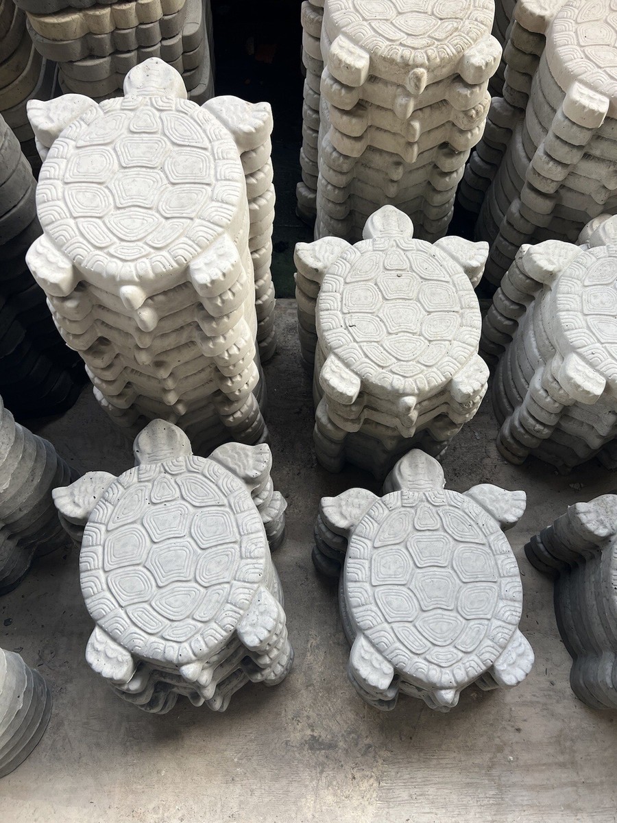 Turtle Stone Concretion Prehistoric Turtle Stone Concretion Fossil At