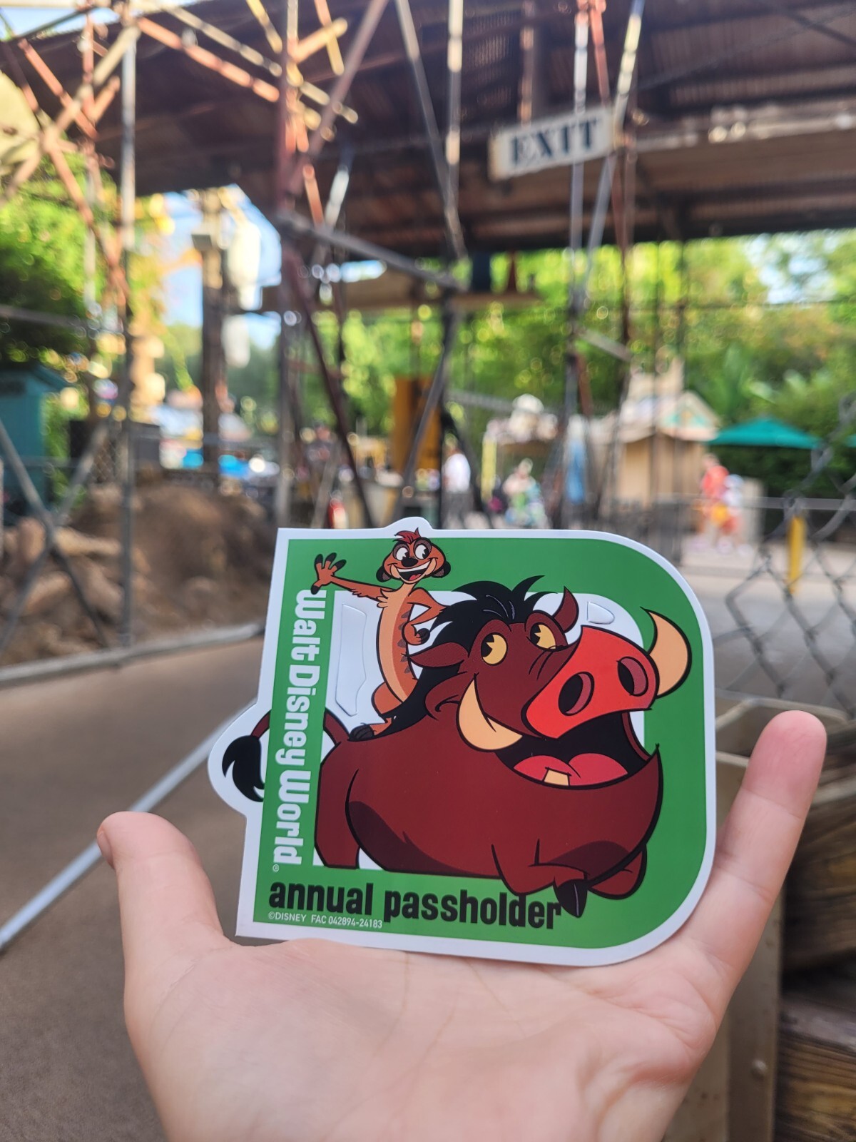 2024 Walt Disney World WDW Annual Passholder AP Pumbaa Pumba & Timon ...
