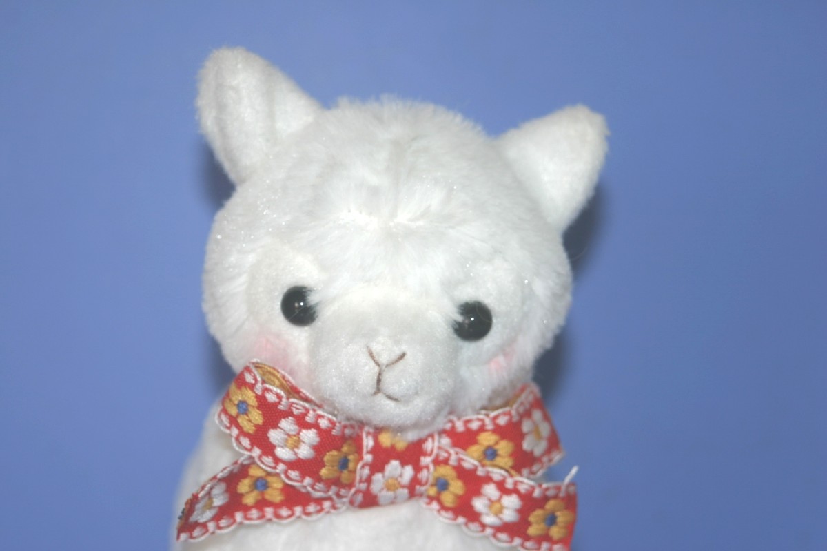 Arpakasso Alpaca Bradach Alpaca Presents Alpaca Presents Added A New