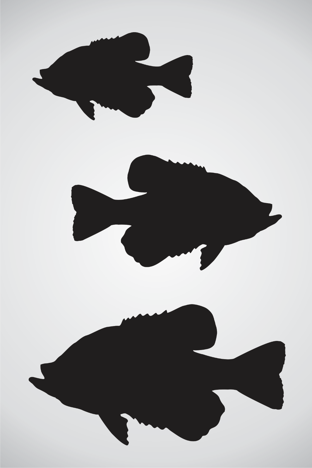 Crappie Panfish STENCIL Outdoor Summer Fish Wildlife Lake Pond DIY ...