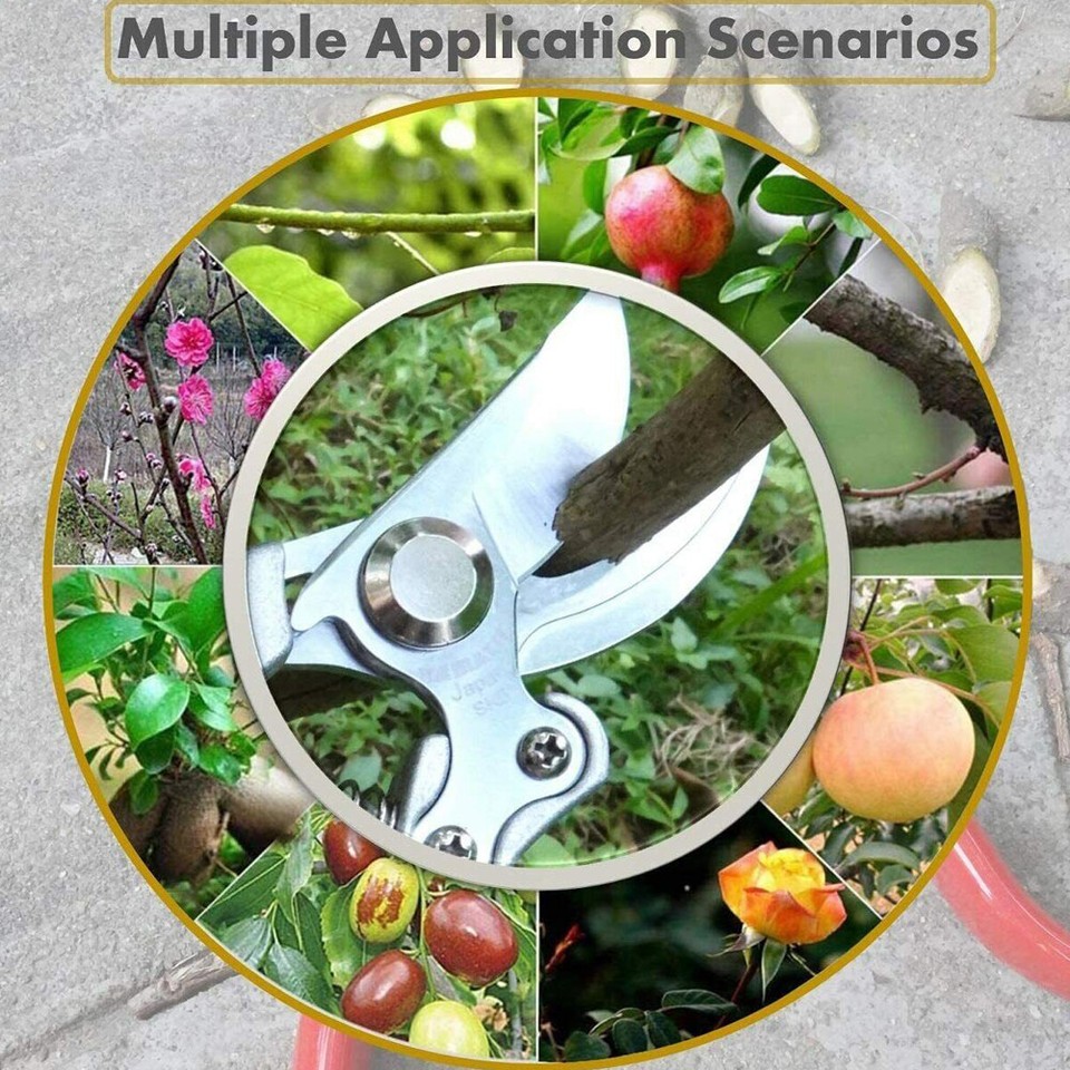 US 2 Pc Pruning Shear Cutter Plant Floral Scissor Branch Pruner Home ...