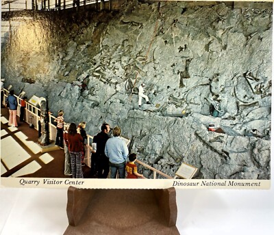 Dinosaur National Monument Quarry Visitor Center Cliff Face Fossils | eBay