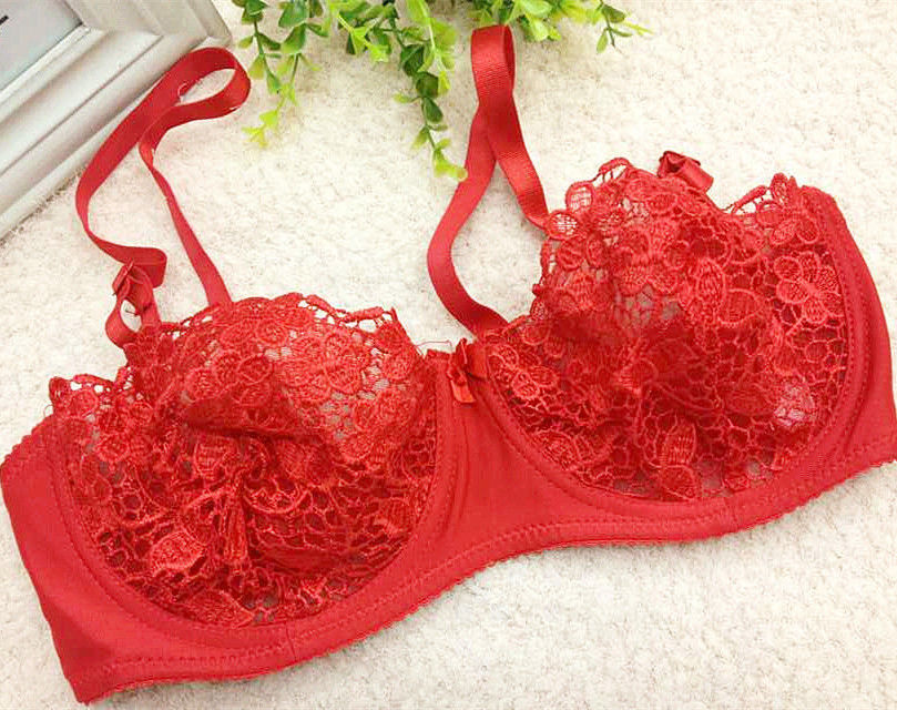 BIG BIG BRA Plus Size Women Lace Bra Underwire Non-Pad Push Up Lingerie ...