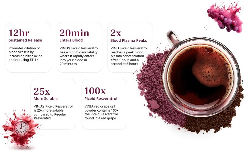 VINIA Blood Flow Energy Coffee Pods - Medium Roast Red Grape Piceid ...