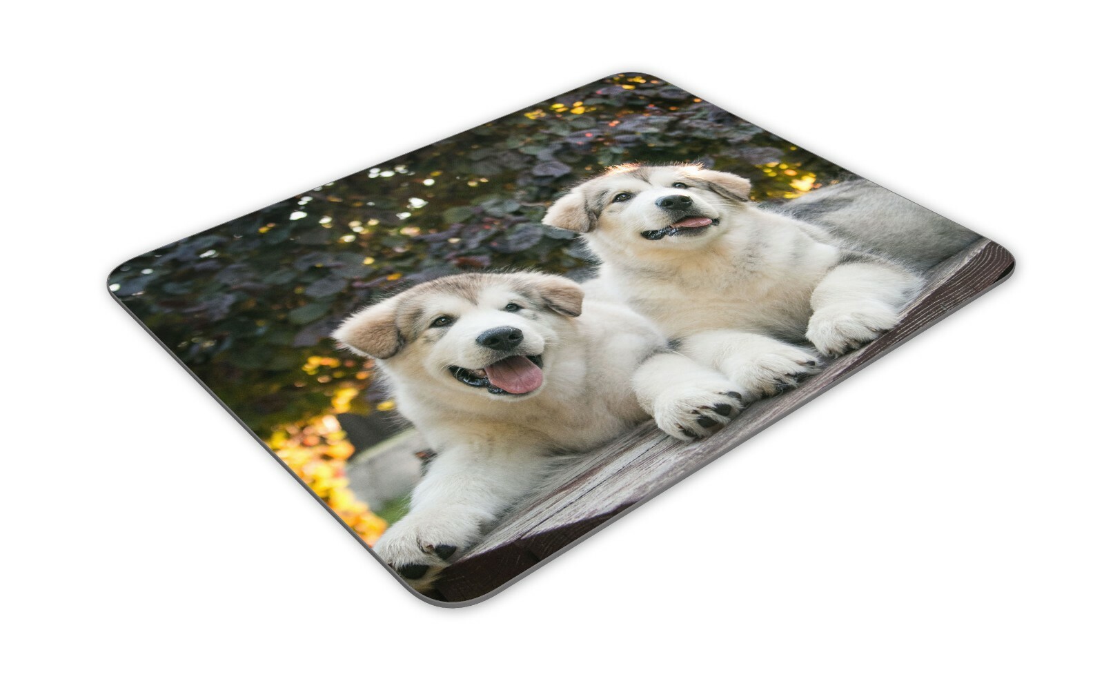 Alaskan Malamute Puppies Mouse Mat Pad - Dog Husky Cute Computer Gift ...