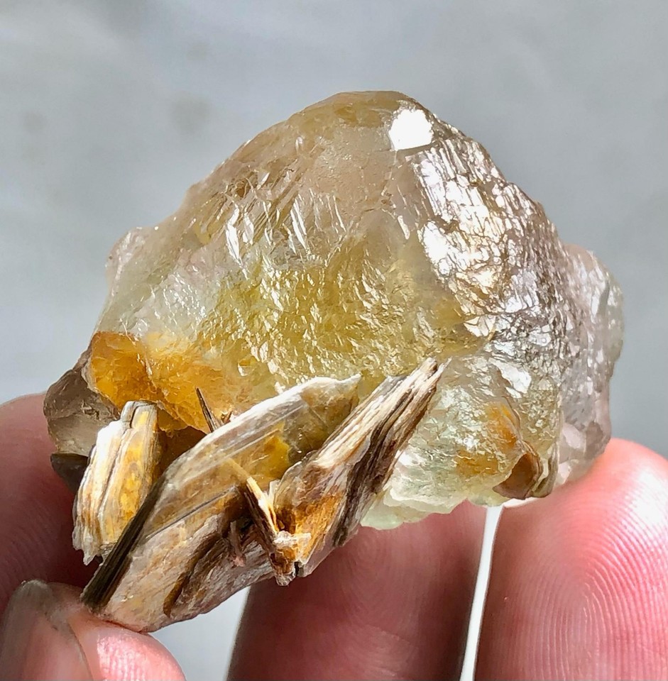 214 CT Bi Color FLUORITE Crystal with Muscovite From Chumar Bakhoor | eBay