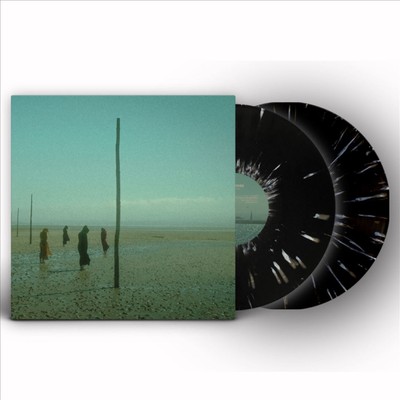 IN ALL HER FORMS NEW VINYL RECORD 7350130420524| eBay