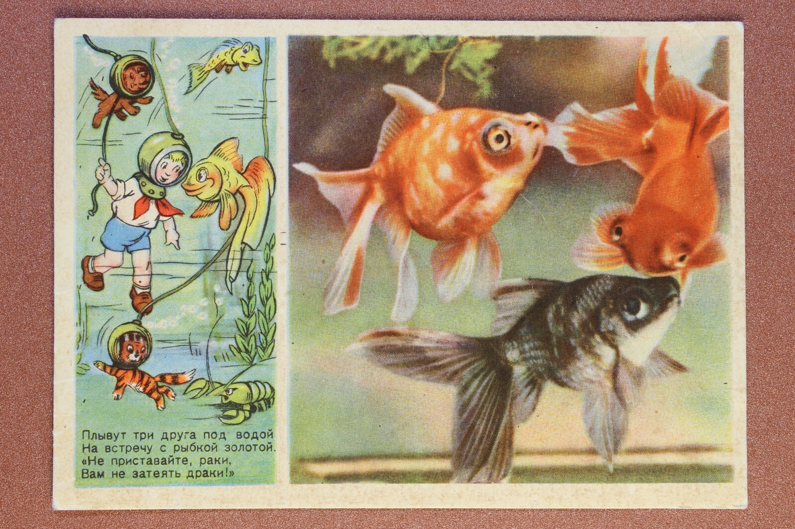 Soviet Pioneer diver Goldfish Lobster Russian postcard USSR 1955 by ...